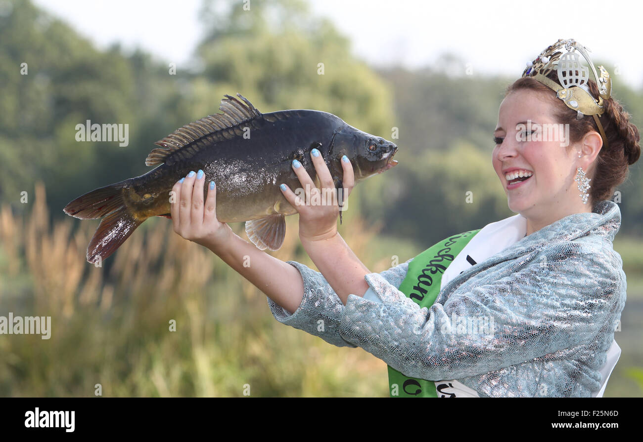 Appenfelder hi-res stock photography and images - Alamy