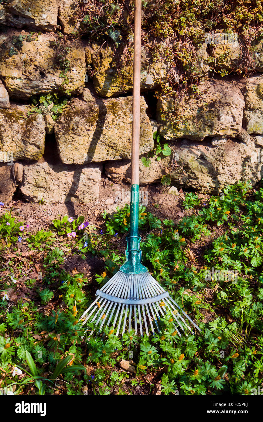 Rake tool against a stone wall in garden Stock Photo - Alamy