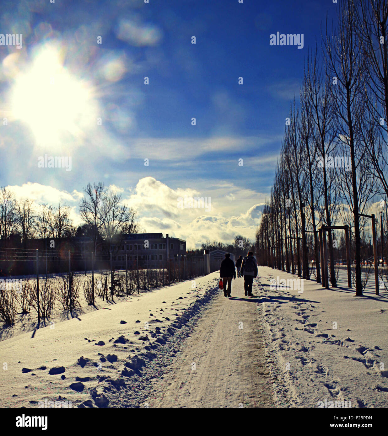 Sunny Winter Day