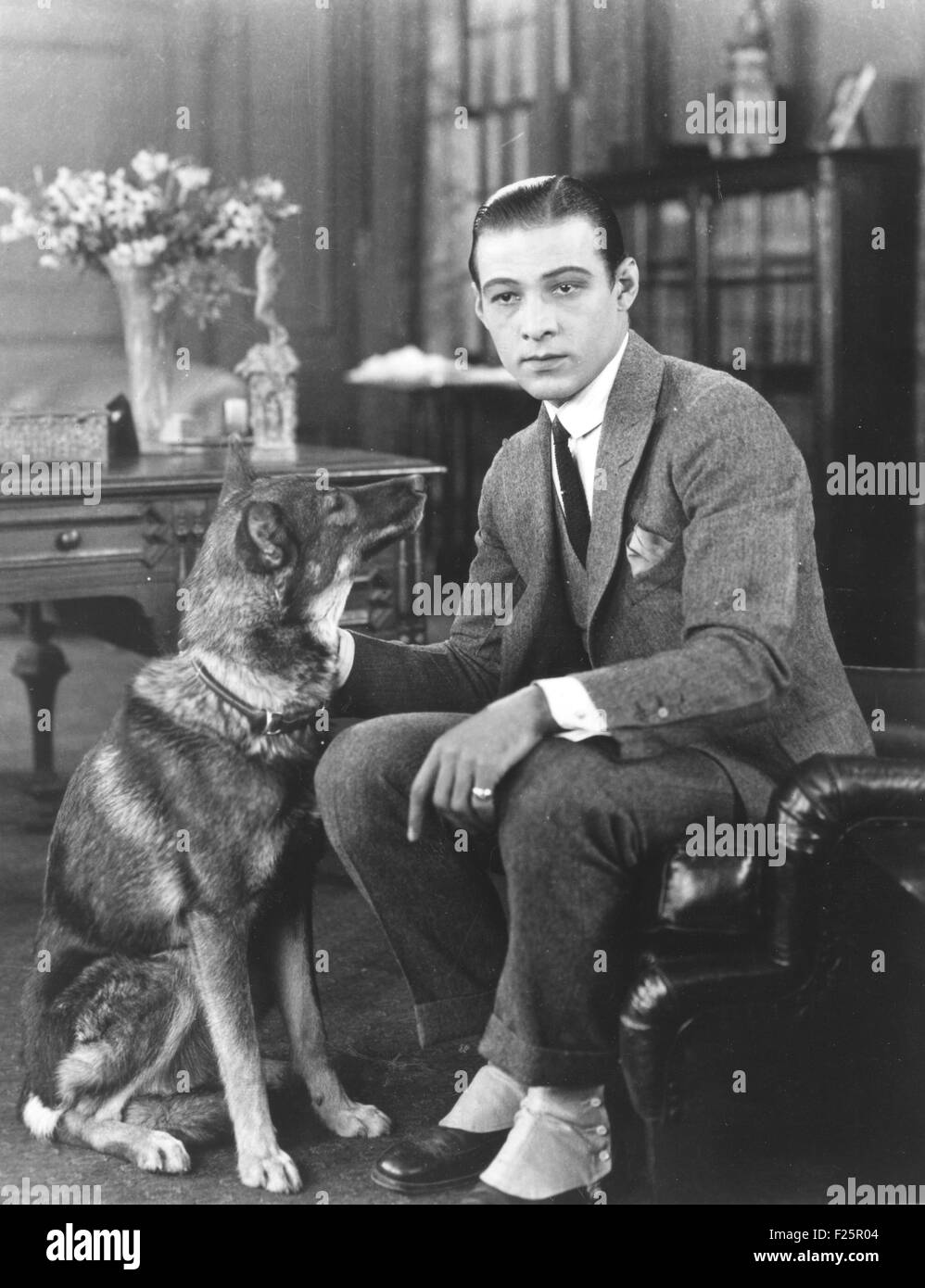 Rudolph valentino 1895 1926 hi-res stock photography and images - Alamy
