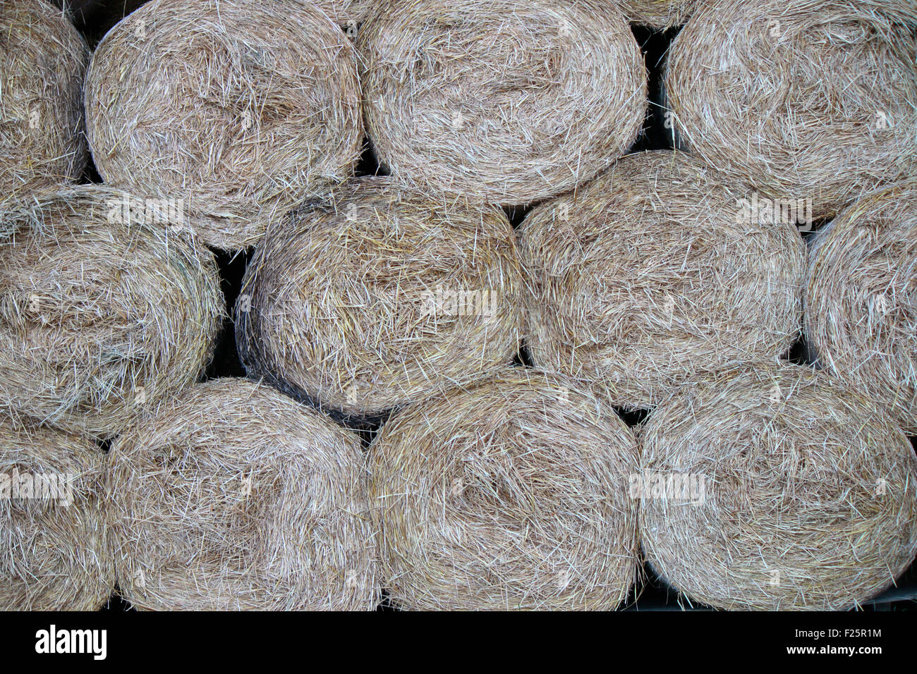 Stroh hi-res stock photography and images - Alamy
