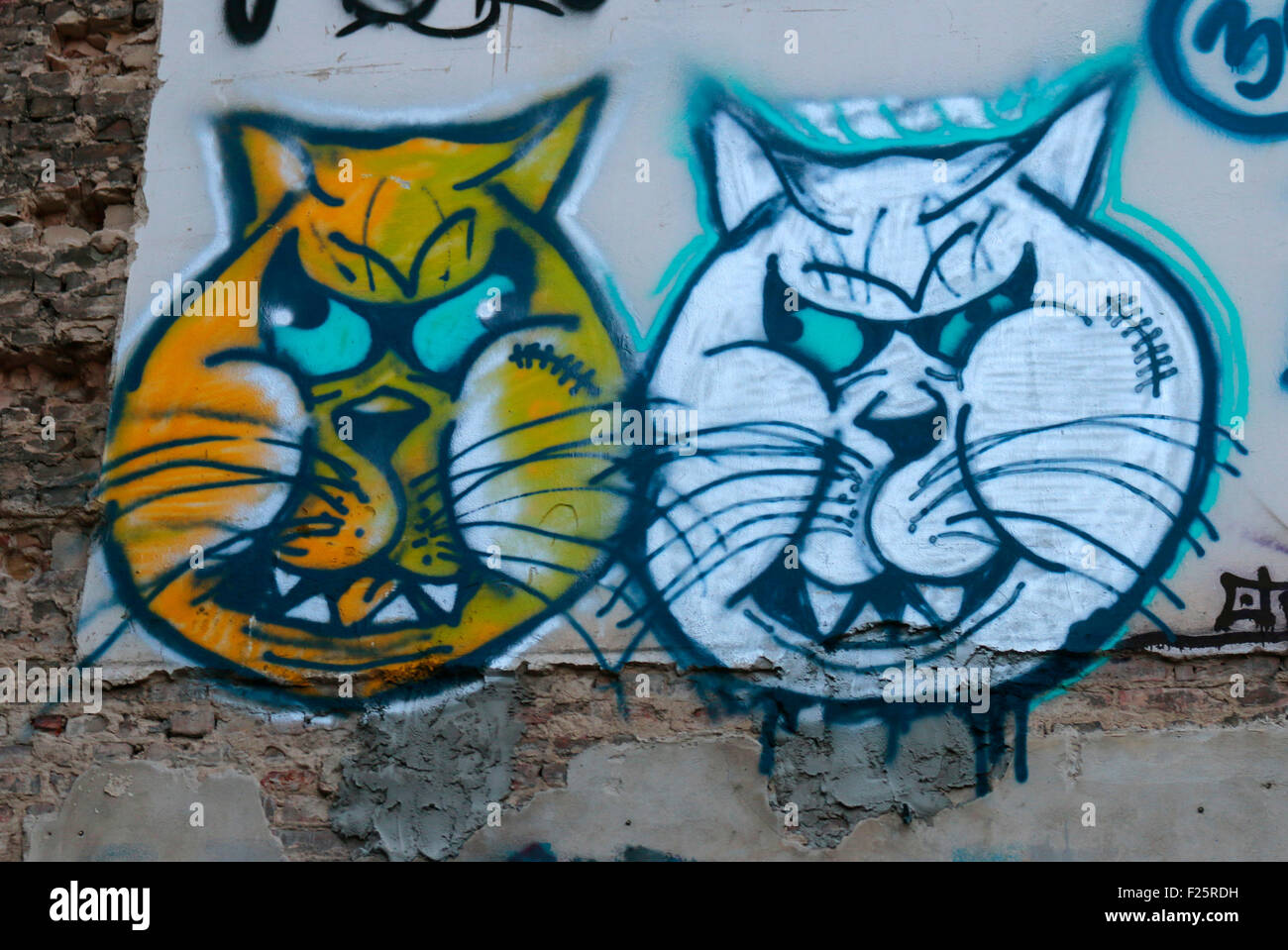 Cat berlin hi-res stock photography and images - Alamy