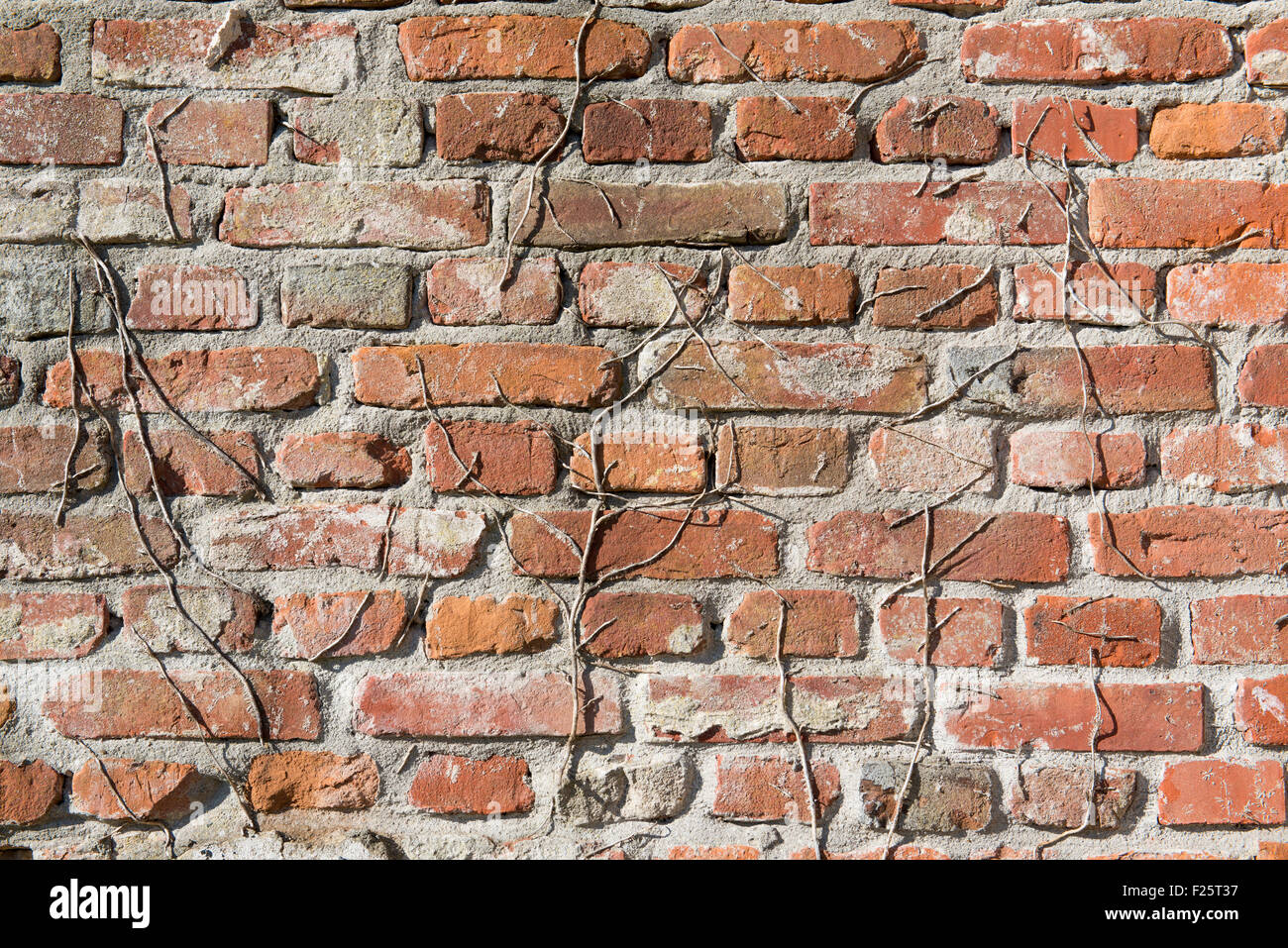 Stones in brick wall hi-res stock photography and images - Alamy