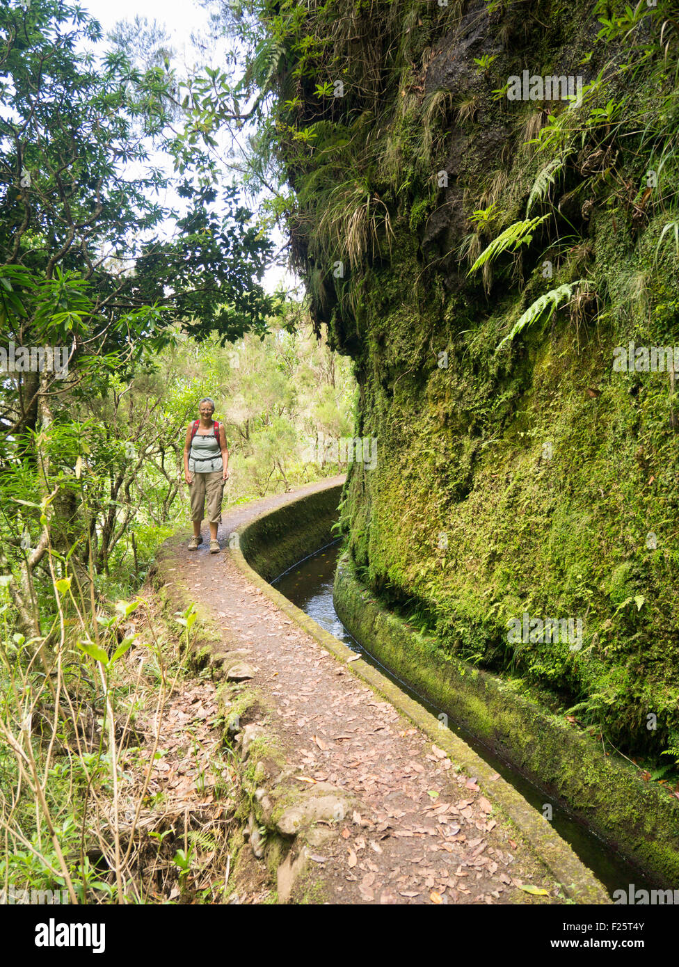 Levadas are irrigation canals built to bring water from the wet north ...