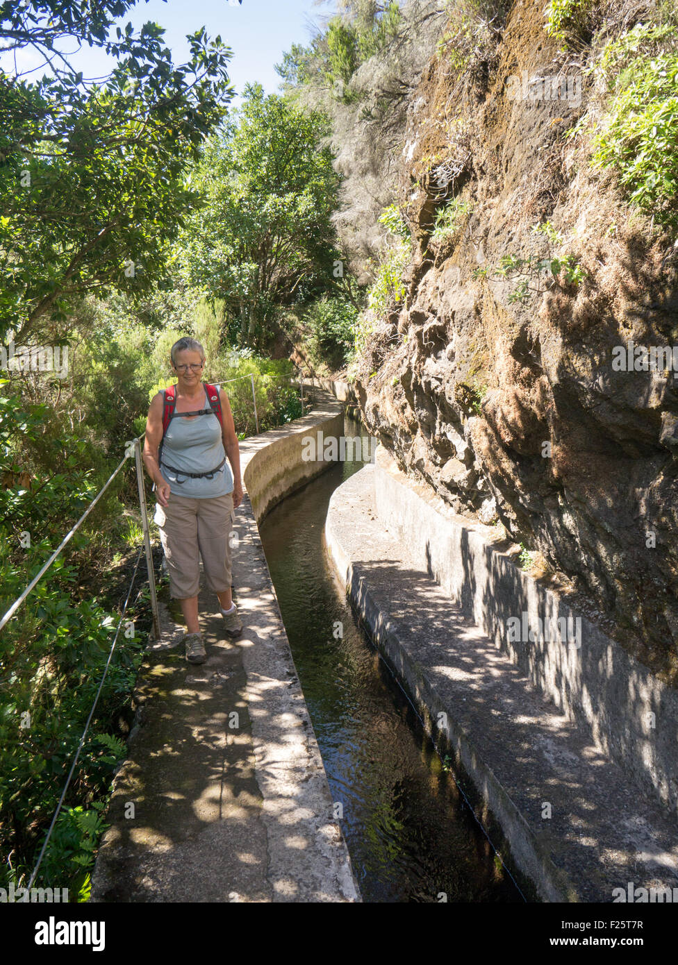 Levadas are irrigation canals built to bring water from the wet north ...