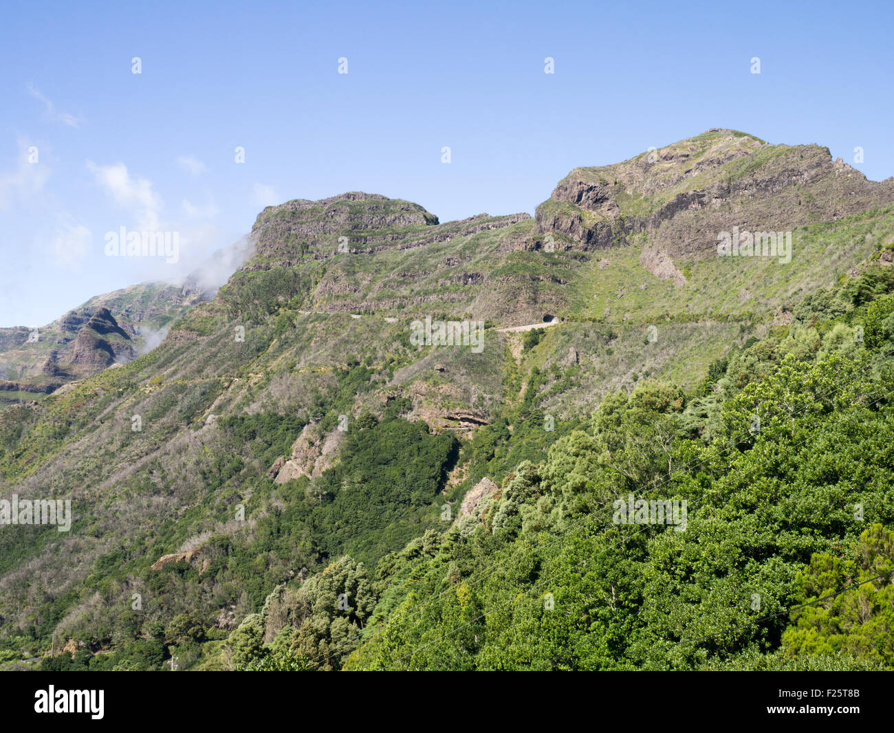 Levadas are irrigation canals built to bring water from the wet north ...