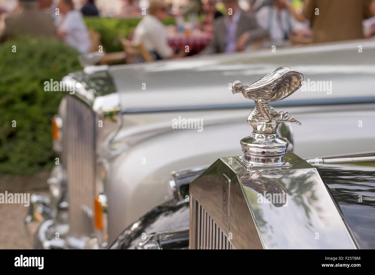 Spirit Of Ecstasy Close Up Stock Photos & Spirit Of Ecstasy Close Up ...