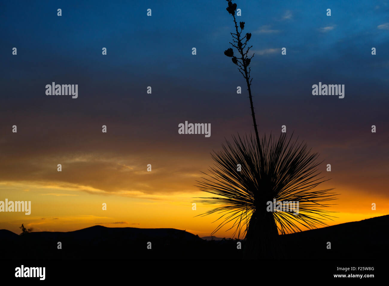 Texas sunset el paso hi-res stock photography and images - Alamy