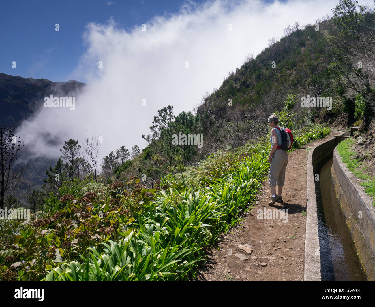 Levadas are irrigation canals built to bring water from the wet ...