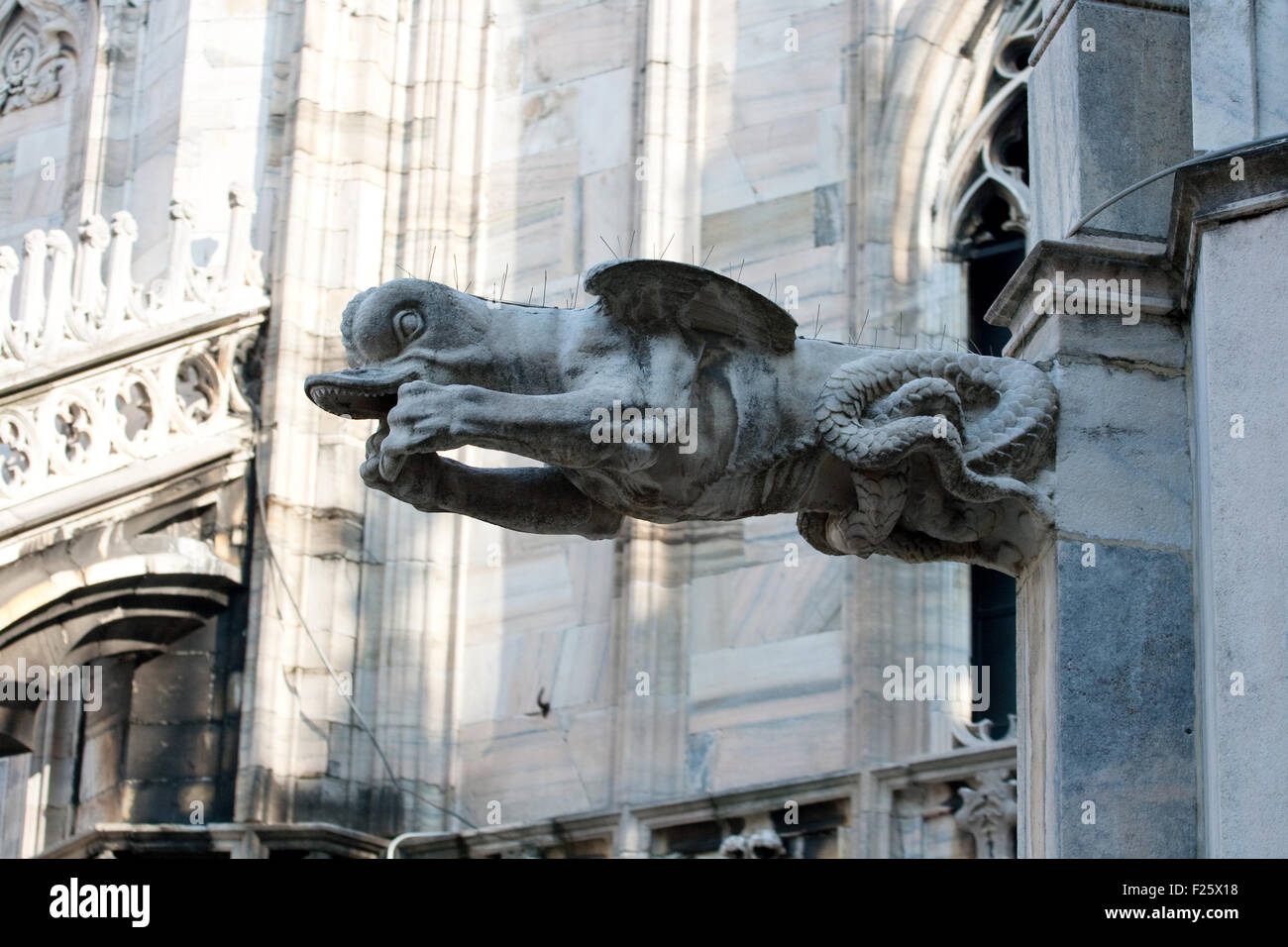 Monster, statue on the Milan cathedral - Italy Stock Photo - Alamy