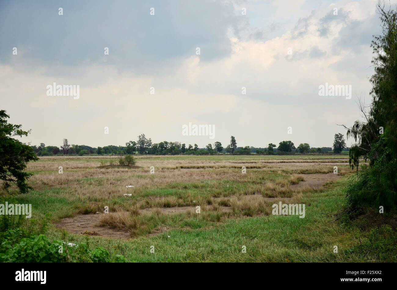 Dry grasslands occur from disposal of Industrial waste and old oil to ...