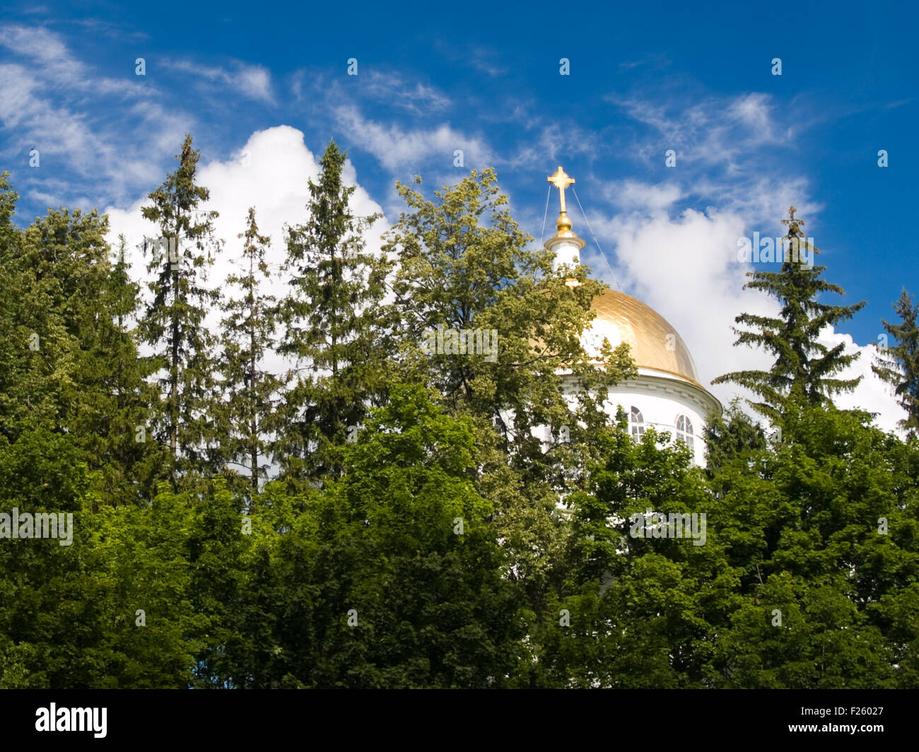 Church golden dome behind trees Stock Photo - Alamy