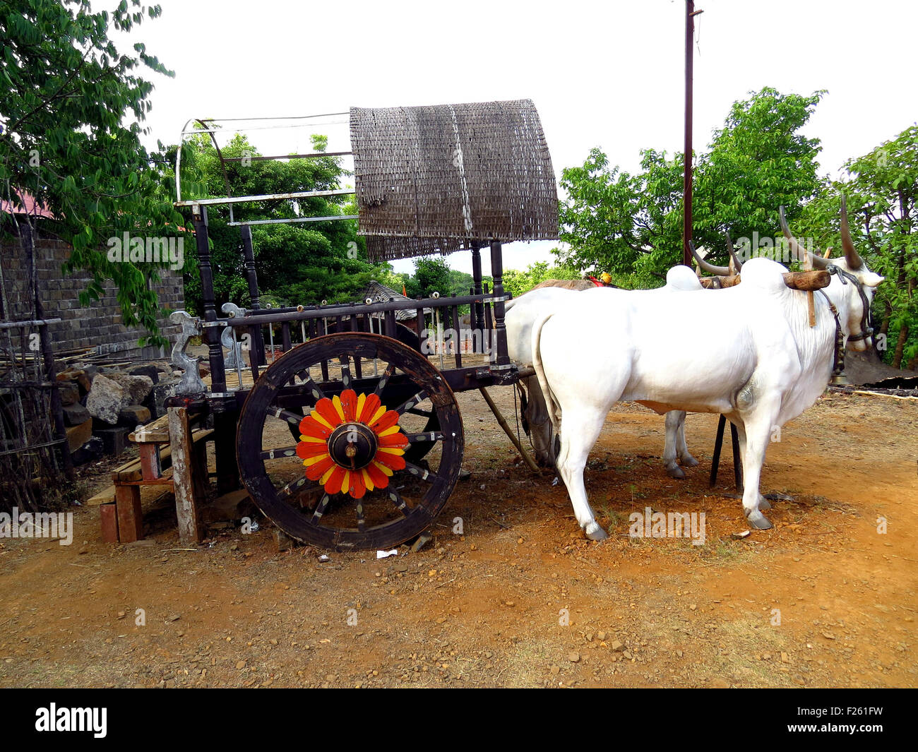 A traditional bullock cart in a small Indian village Stock Photo - Alamy