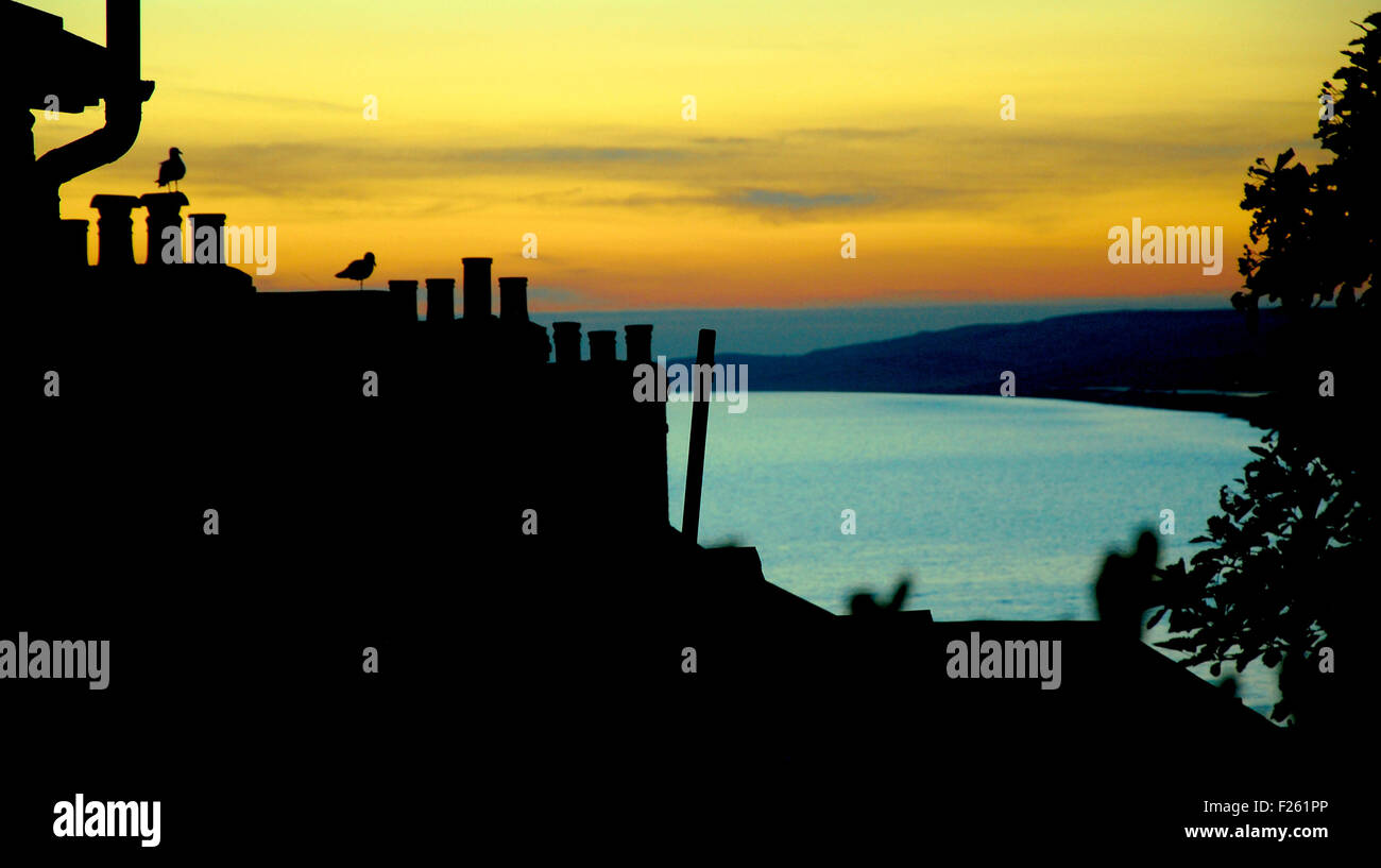 A perfect summer's day in Dorset ends as the seagulls roost and Lyme ...