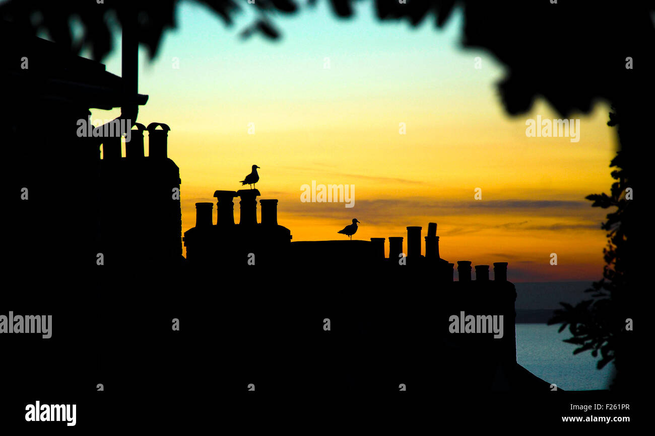 A perfect summer's day in Dorset ends as the seagulls roost and the sky ...