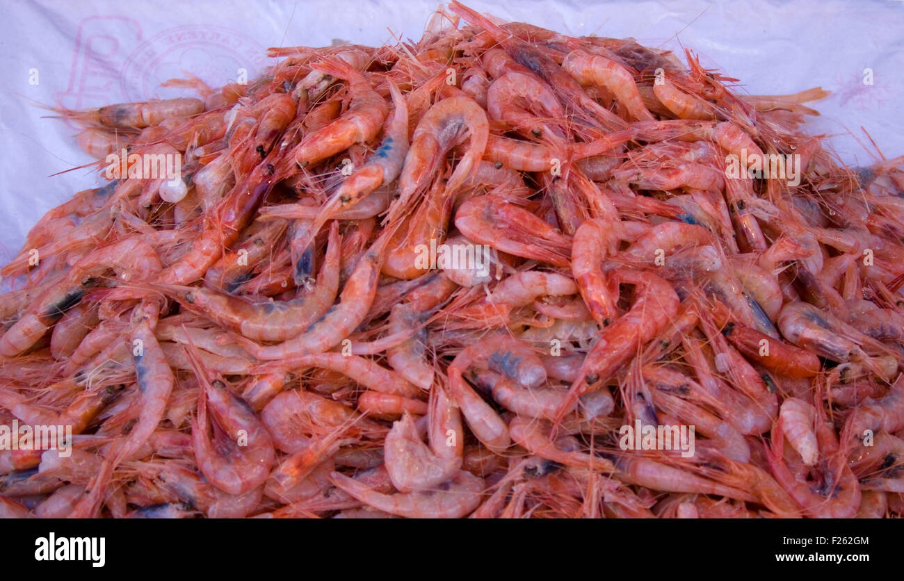 Shrimp on a table, fish market Stock Photo - Alamy