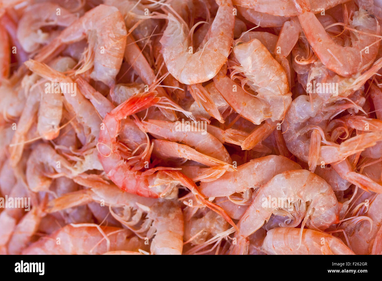 Shrimp on a table, fish market Stock Photo - Alamy