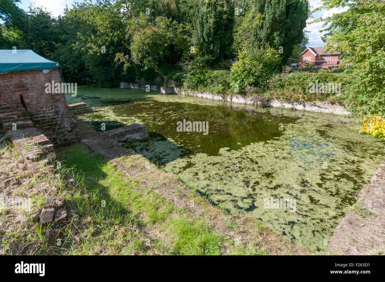 Scadbury park hi-res stock photography and images - Alamy