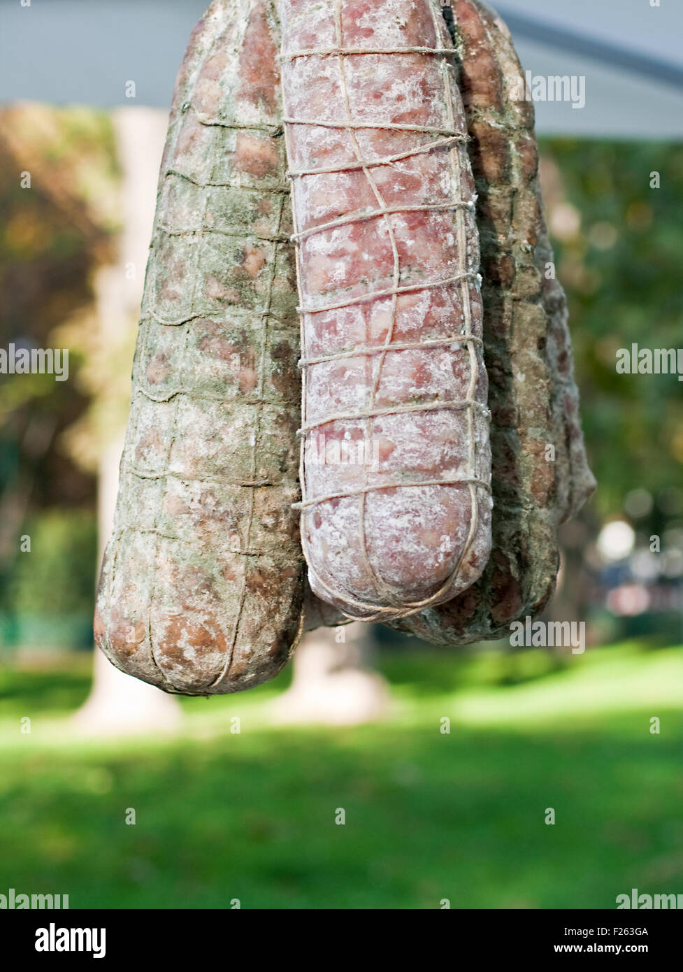 Photo of delicious Italian salami Stock Photo - Alamy