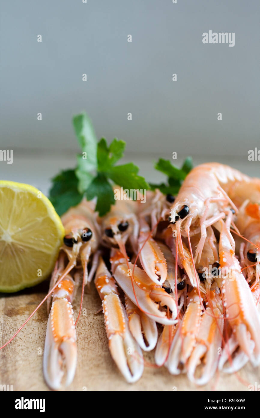 Close up of fresh scampi Stock Photo - Alamy