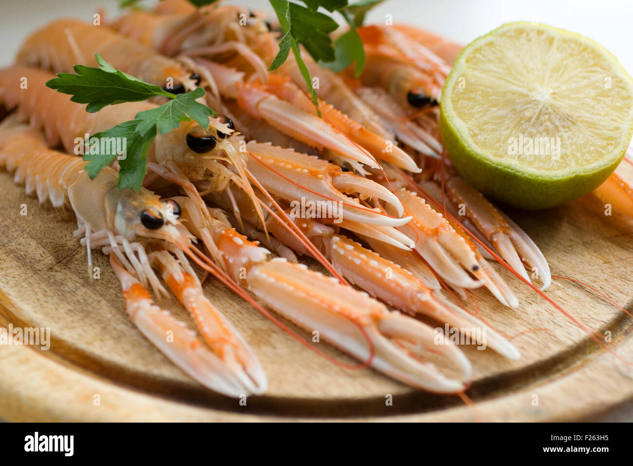 Close up of fresh scampi Stock Photo - Alamy