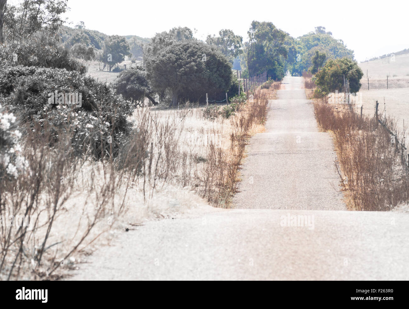 Undulation road hi-res stock photography and images - Alamy