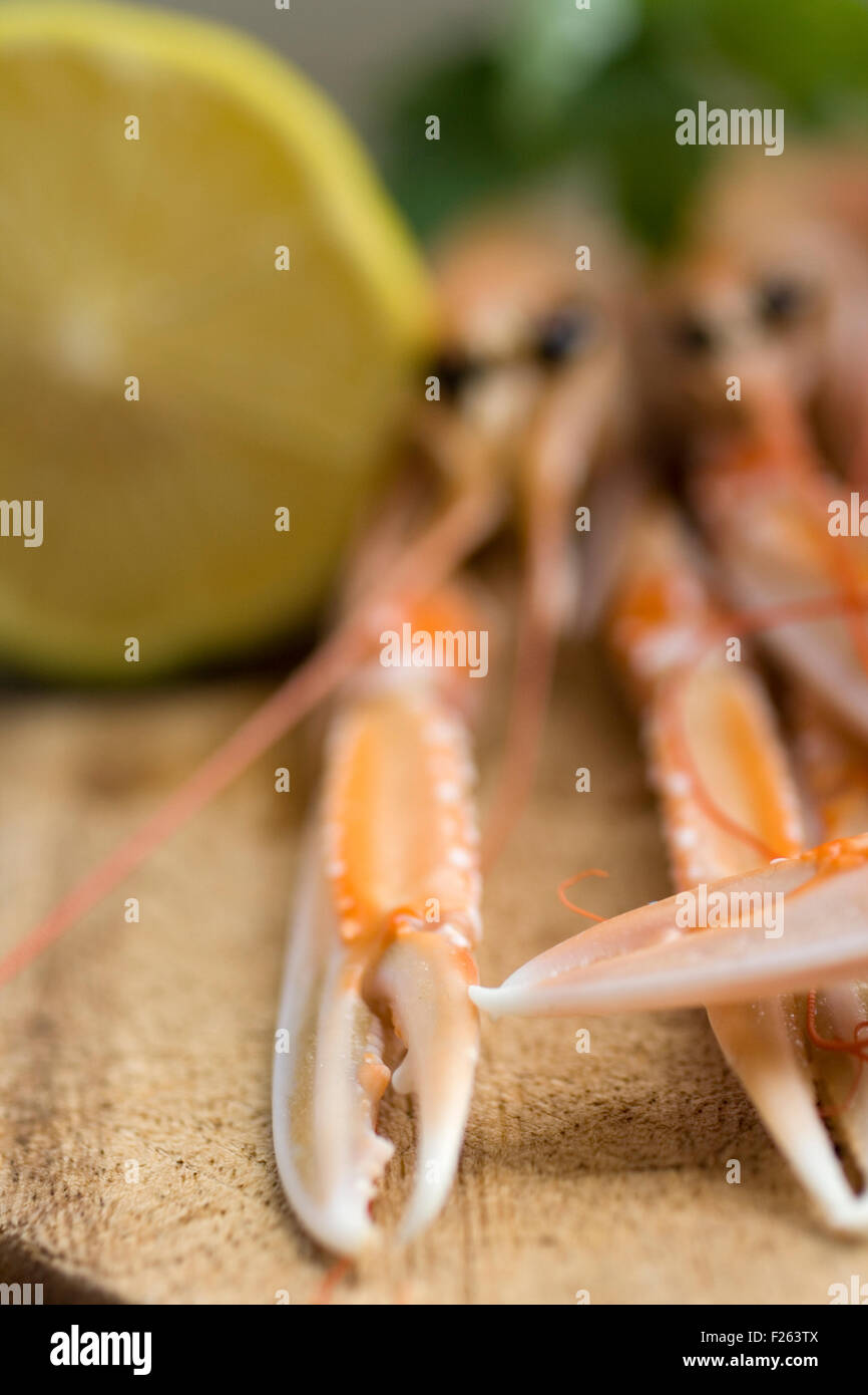Scampi recipe hi-res stock photography and images - Alamy