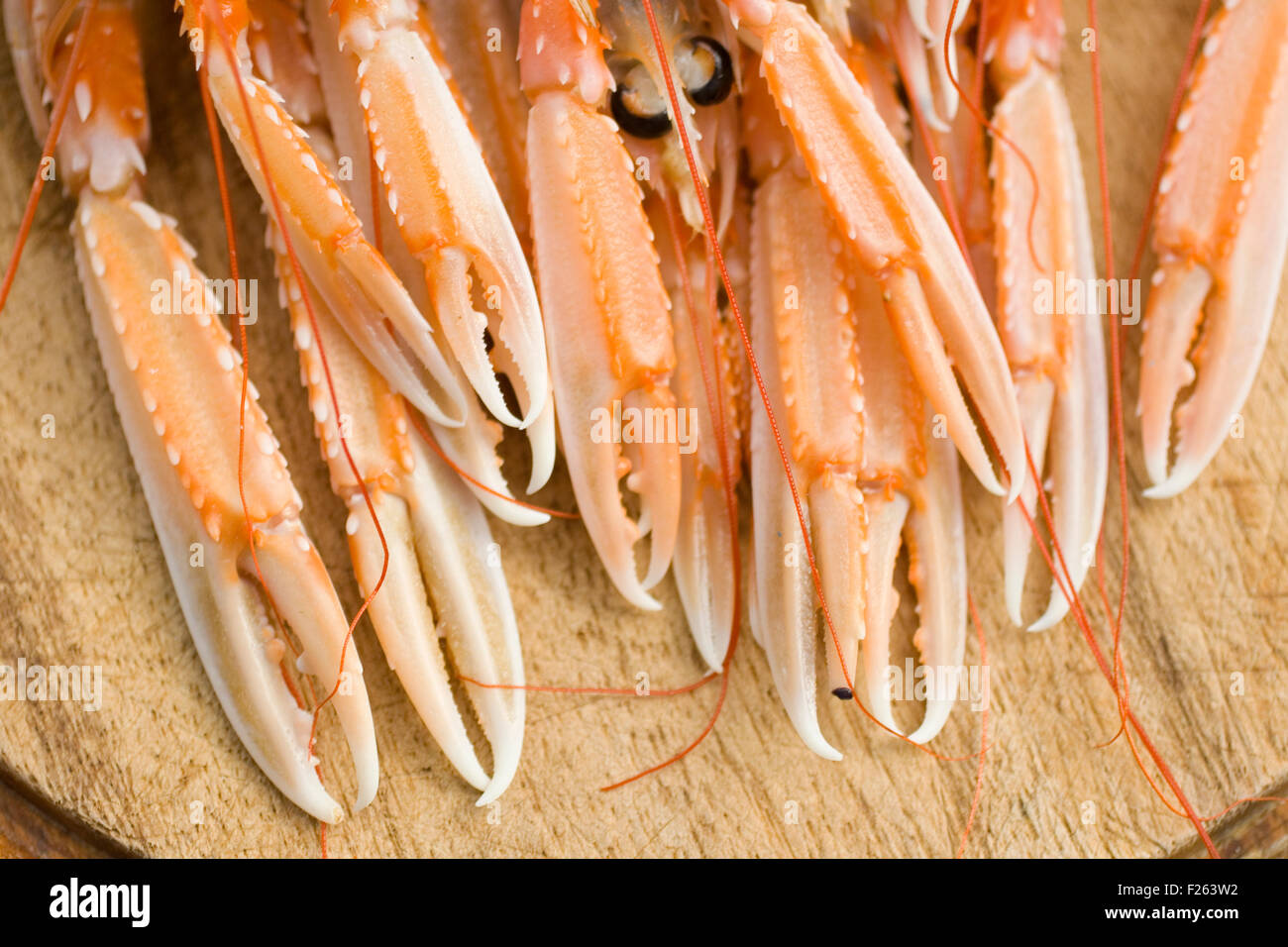 Nephrops High Resolution Stock Photography and Images - Alamy