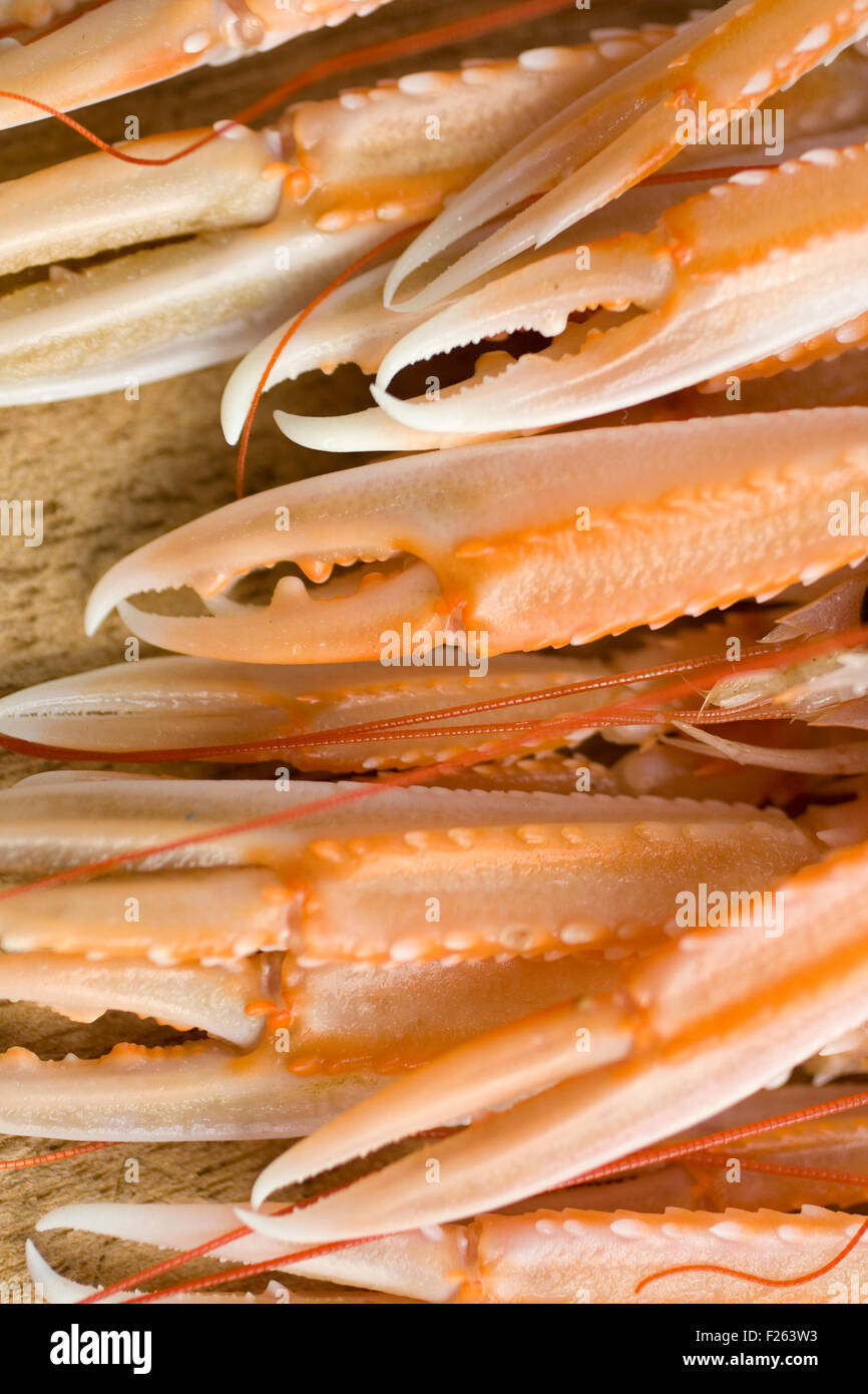 Nephrops hi-res stock photography and images - Alamy