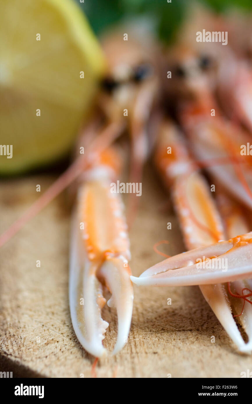 Close up of fresh scampi Stock Photo - Alamy