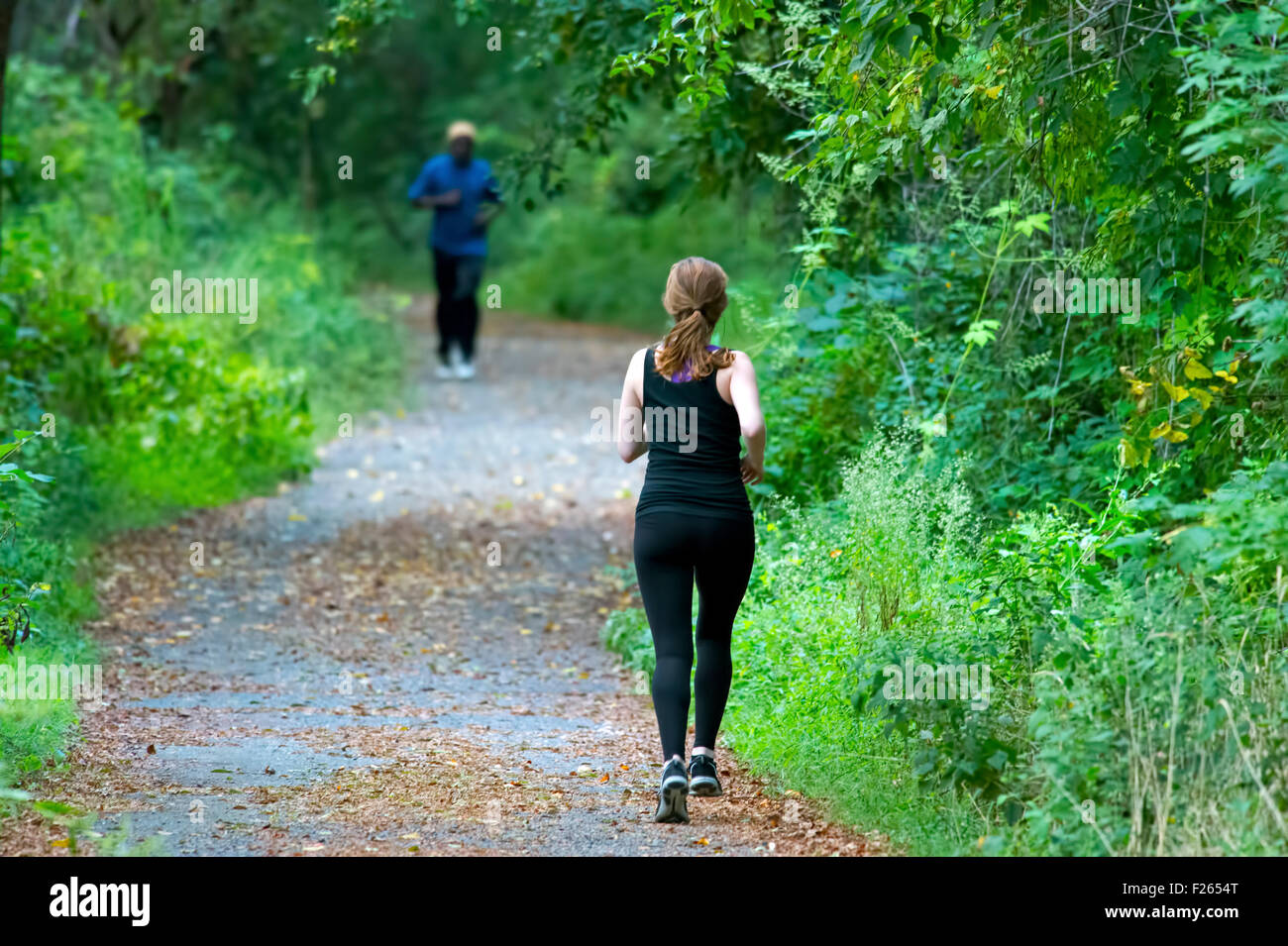 Joggers on Jogging Path Stock Photo - Alamy