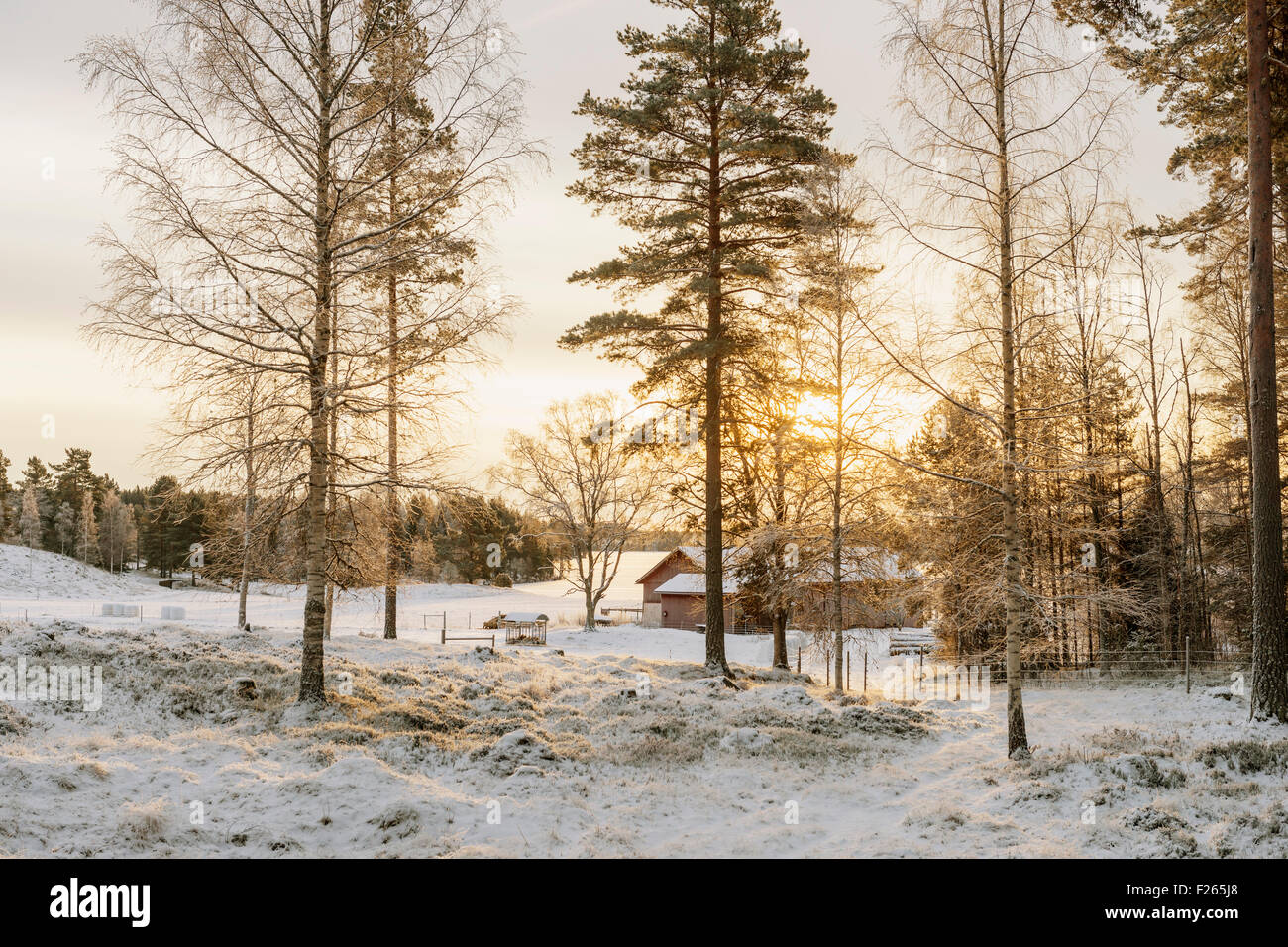 Farm in wintertime Stock Photo - Alamy