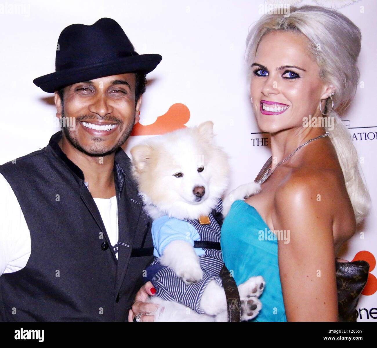 Reggie the dog hi-res stock photography and images - Alamy