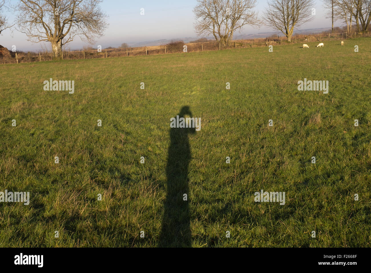 Long winter shadow in winter Stock Photo - Alamy