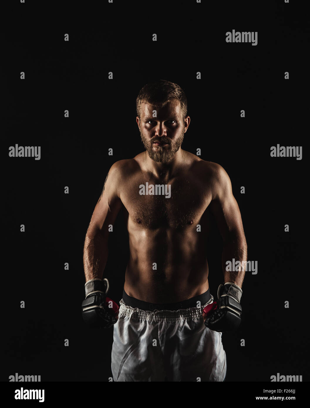 Athletic bearded boxer with gloves on a dark background Stock Photo - Alamy