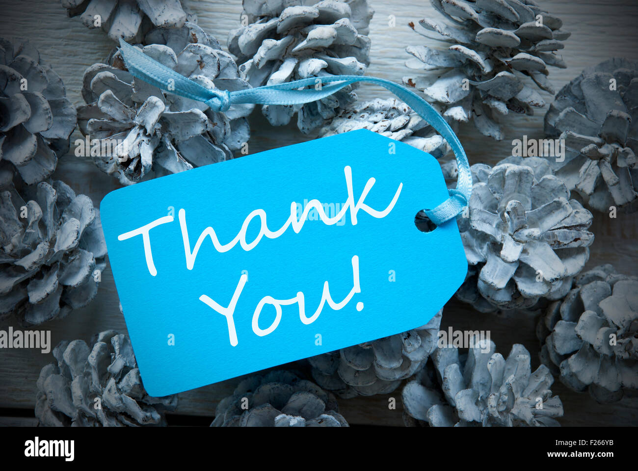 Light Blue Label On Fir Cones With Stock Photo - Alamy