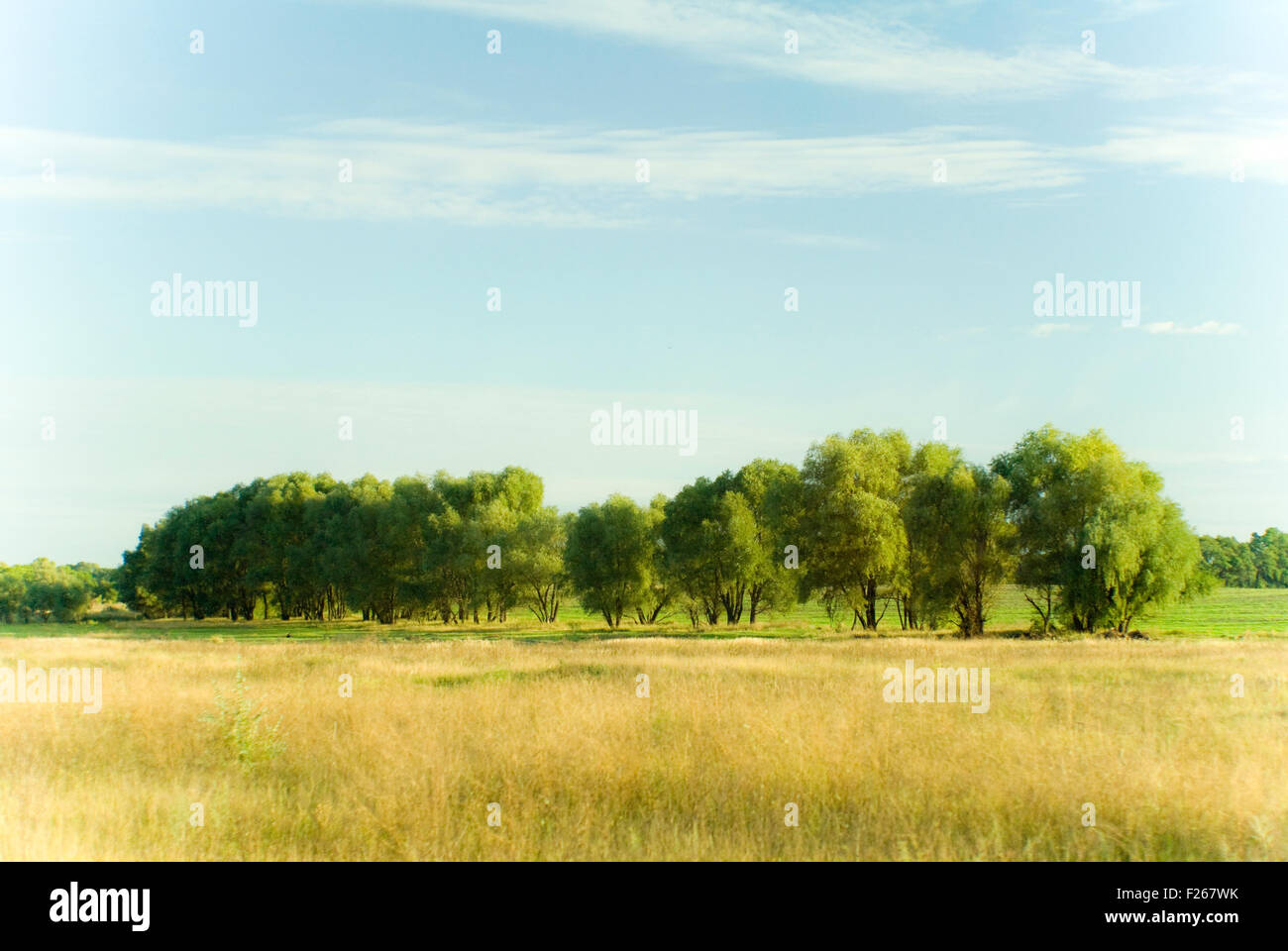 Rural landscape in august russia hi-res stock photography and images ...