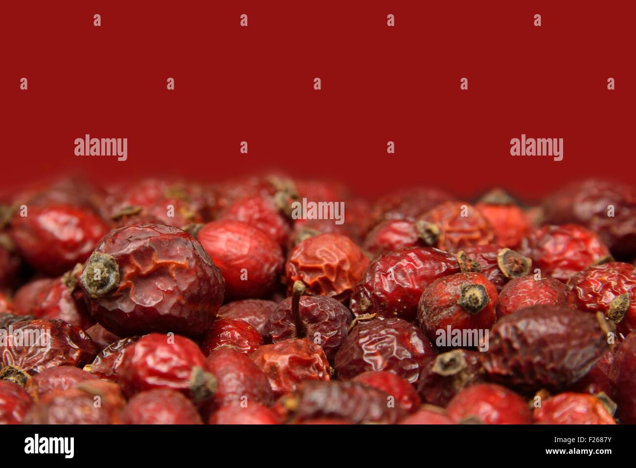 many red dried brier hips Stock Photo - Alamy