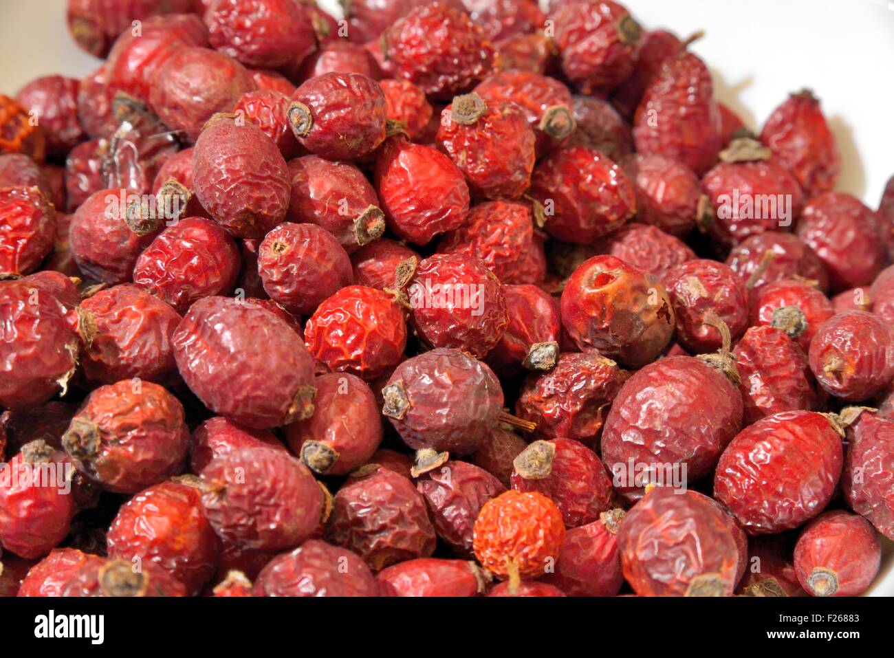 many red dried brier hips Stock Photo - Alamy