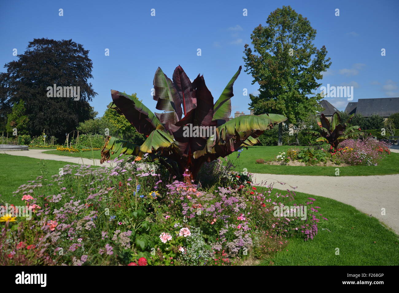 Botanical Garden in France Stock Photo - Alamy