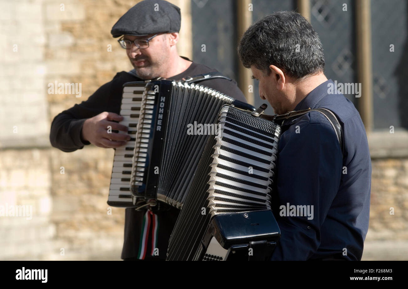 Panini flower hi-res stock photography and images - Alamy