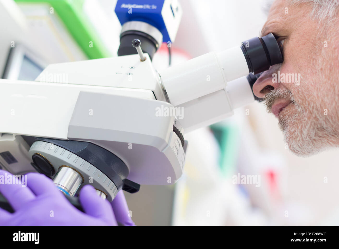 Senior scientist microscoping in lab Stock Photo - Alamy