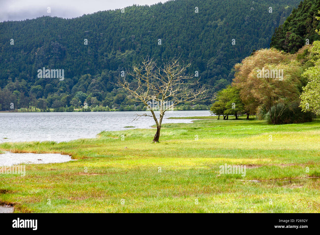 Furnas Lake in Sao Miguel, Azores Islands Stock Photo - Alamy