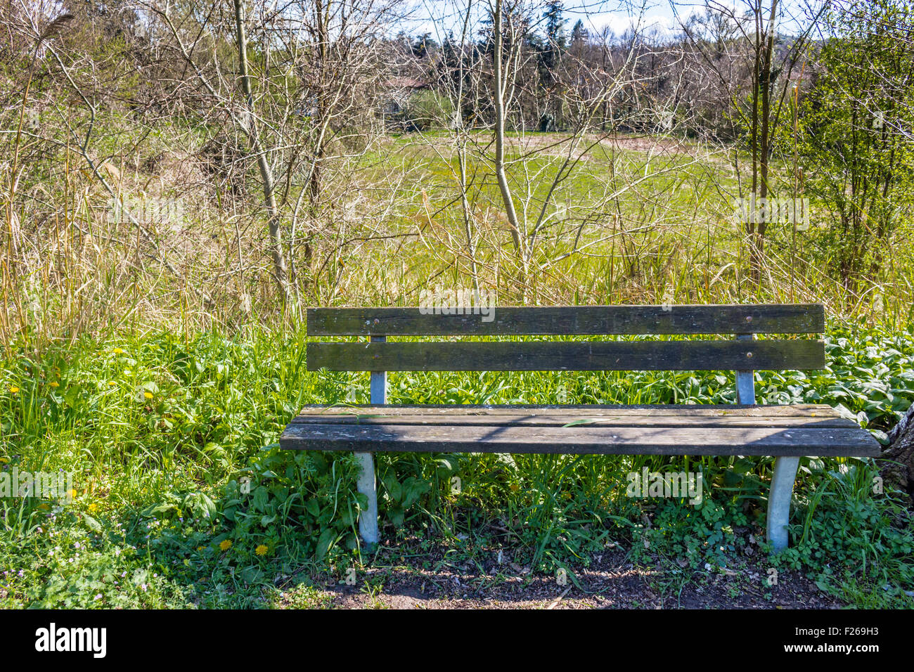 Simple grunge bench in small and messy garden in Italian countryside ...