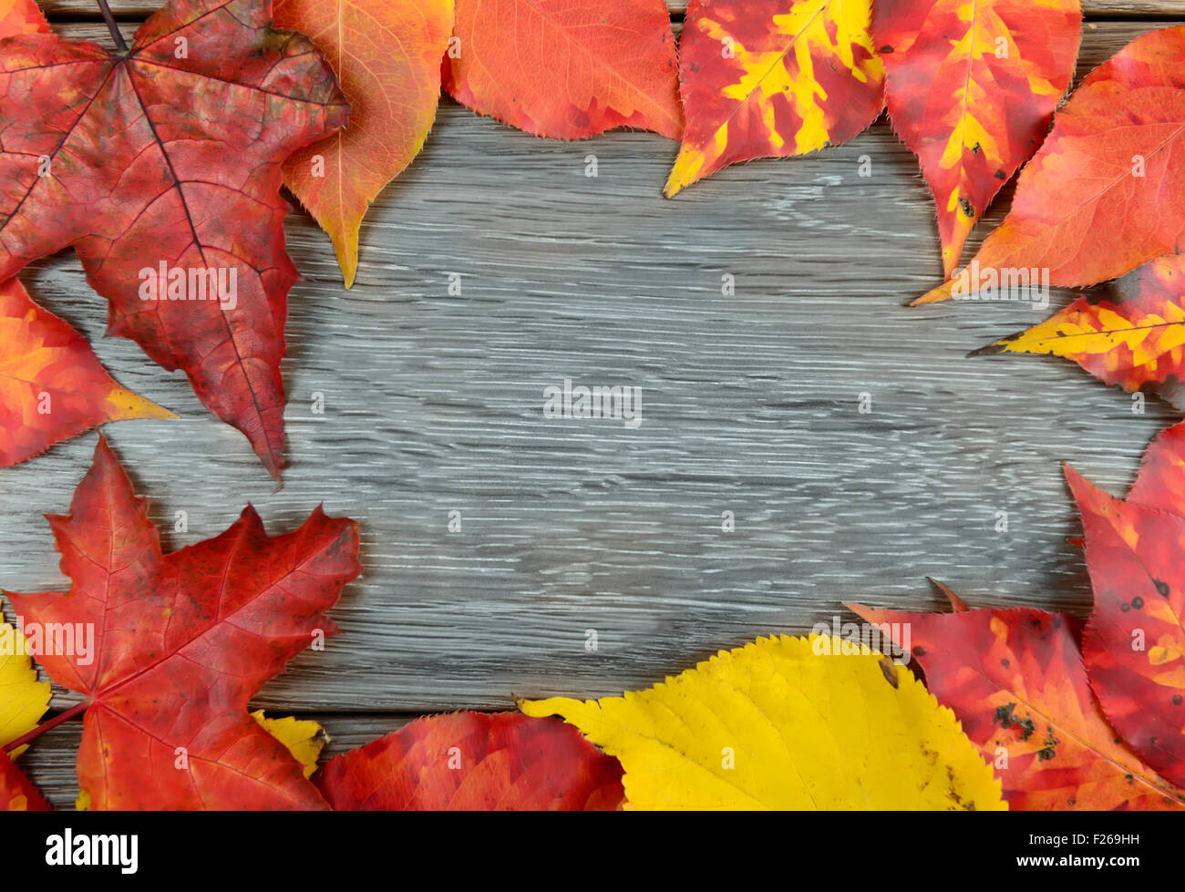 Autumn leaves over wooden background with copy space Stock Photo - Alamy