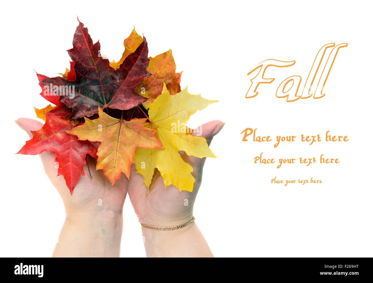 Hands holding autumn leaves hi-res stock photography and images - Alamy