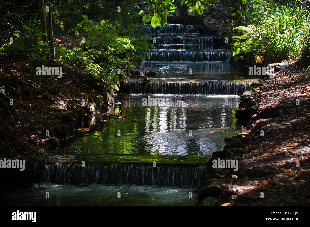 Cascades at Tehidy Country Park in Cornwall Stock Photo - Alamy