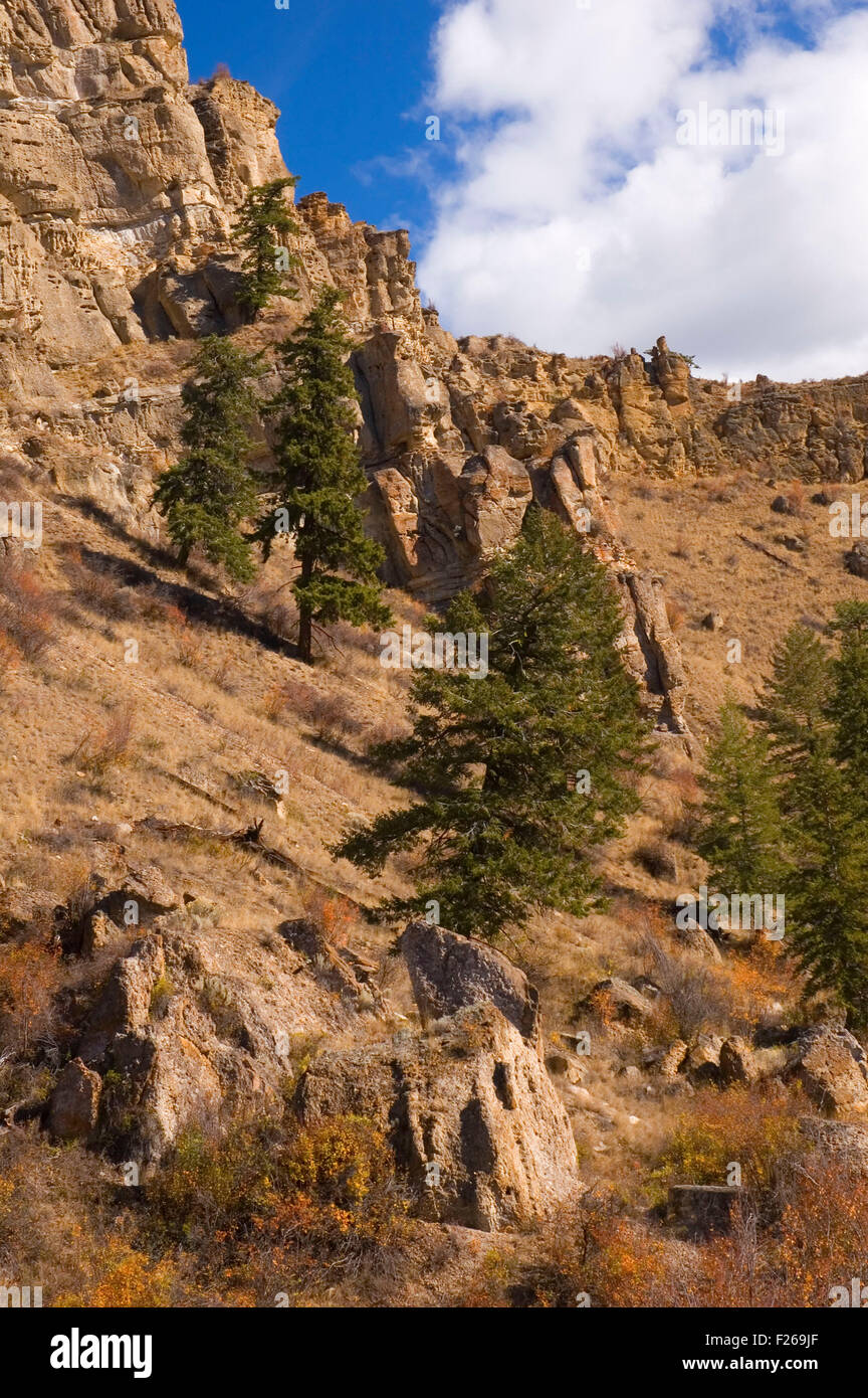 Pipestone Canyon, Methow Wildlife Area, Washington Stock Photo - Alamy