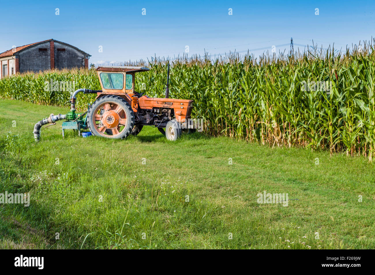 Old tractor orange tractor countryside hi-res stock photography and ...