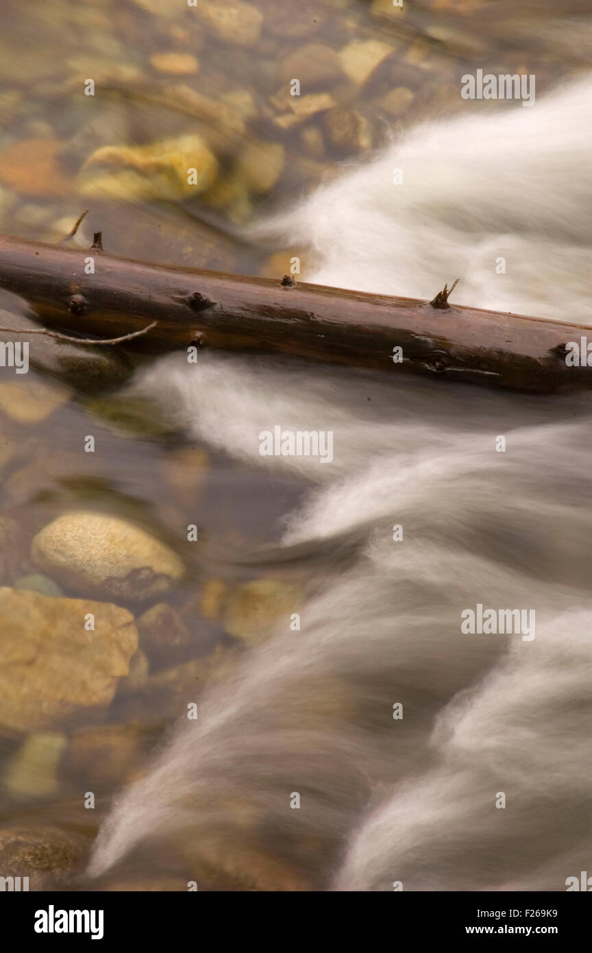 Twisp River, Okanogan National Forest, Washington Stock Photo - Alamy